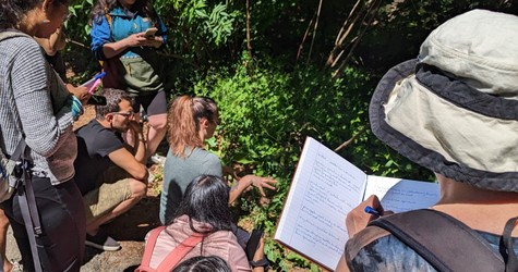 Alicia Meek – Forager, Nutritionist, Herbalist